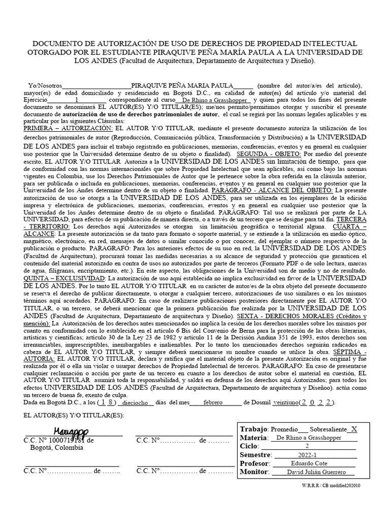 Piraquive Peña Maria Paula | PDF