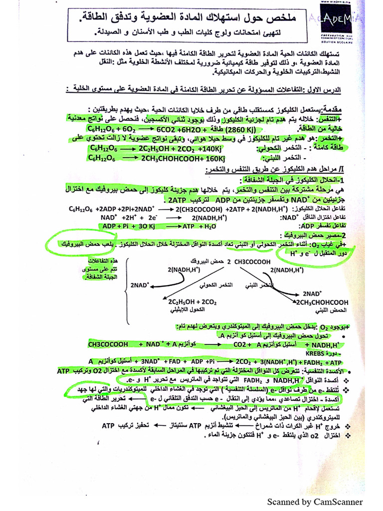 Résume SVT (2) | PDF