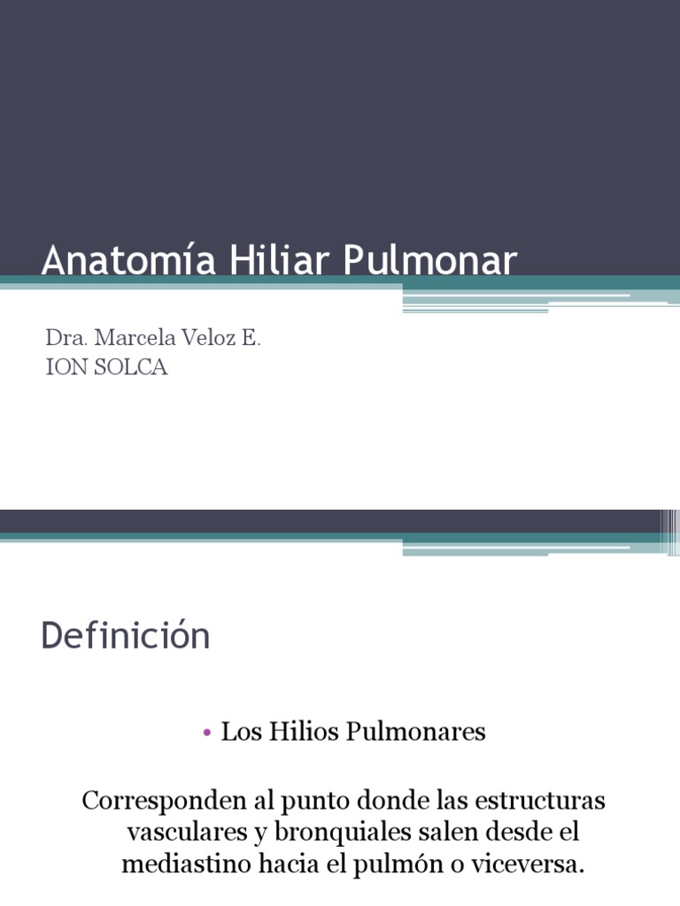 Anatomía del Hilio Pulmonar | PDF | Pulmón | Aorta