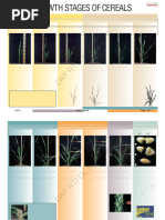 Understanding the Zadoks Growth Scale | PDF | Plant Morphology | Plant ...