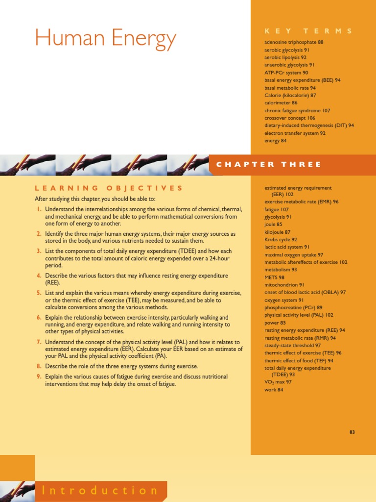 Energy Production in Human Body | PDF | Cellular Respiration | Calorie