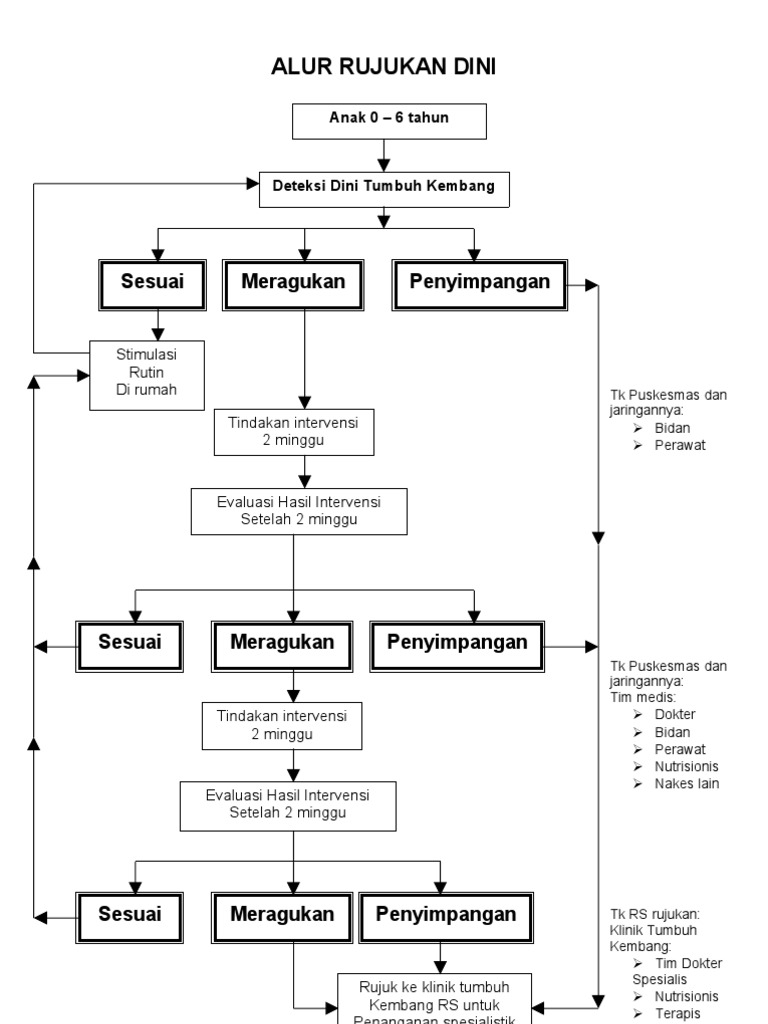 Alur Rujukan Sdidtk | PDF