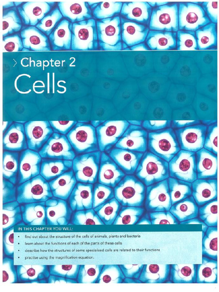 Ch. 2 Cell (IGCSE) | PDF