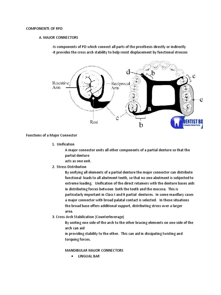 Components of Rpd | Dentures | Dentistry Branches | Free 30-day Trial ...