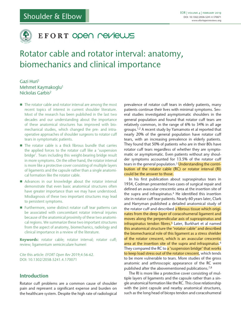 Rotator Cable and Rotator Interval | PDF | Shoulder | Human Anatomy