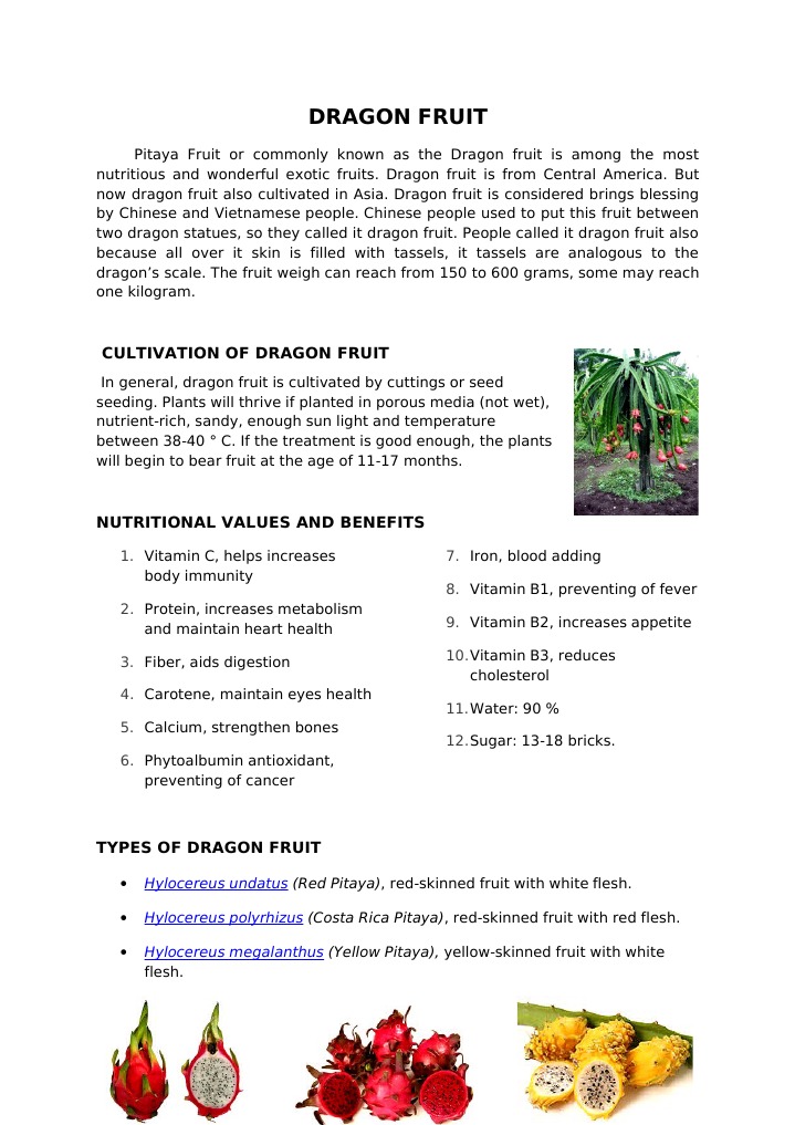 Dragon Fruit | PDF | Wellness