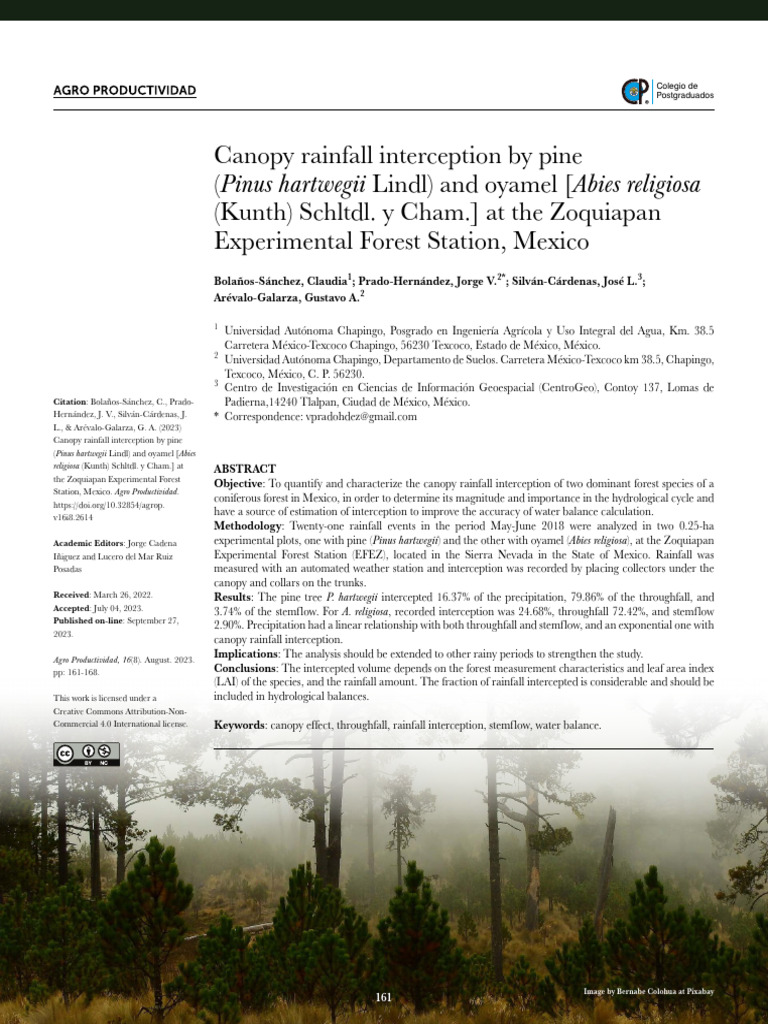 Canopy Rainfall Interception by Pine Pinus Hartweg | PDF | Rain | Forests
