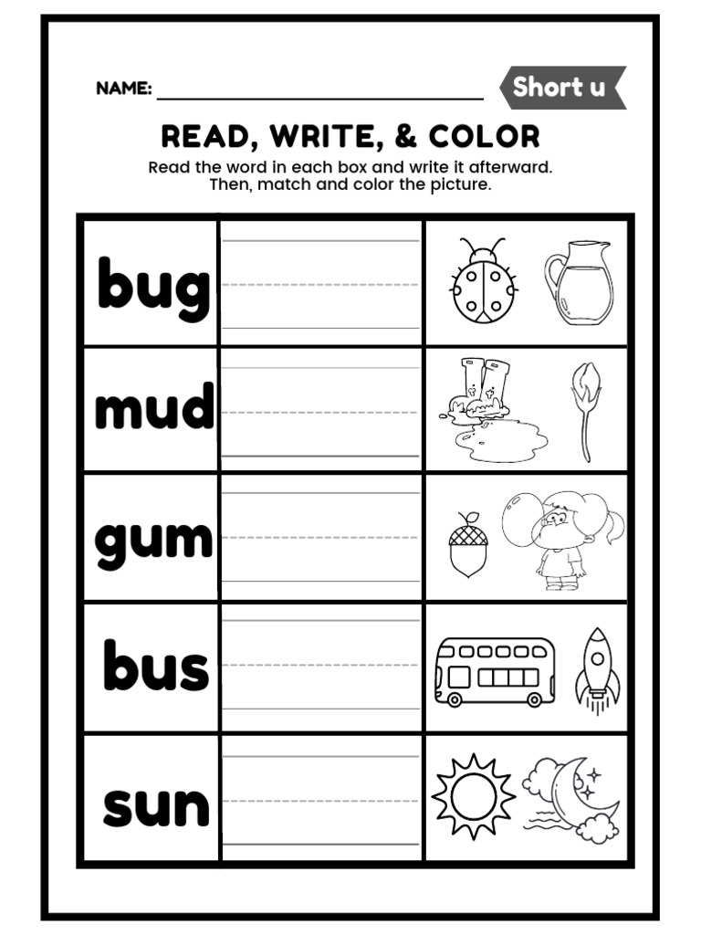 Read, Write, and Color Short U CVC Words Worksheet | PDF