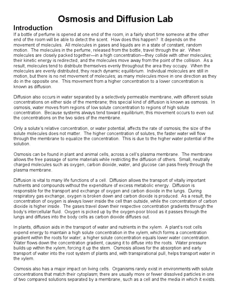 Diffusion Lab | PDF | Osmosis | Biology