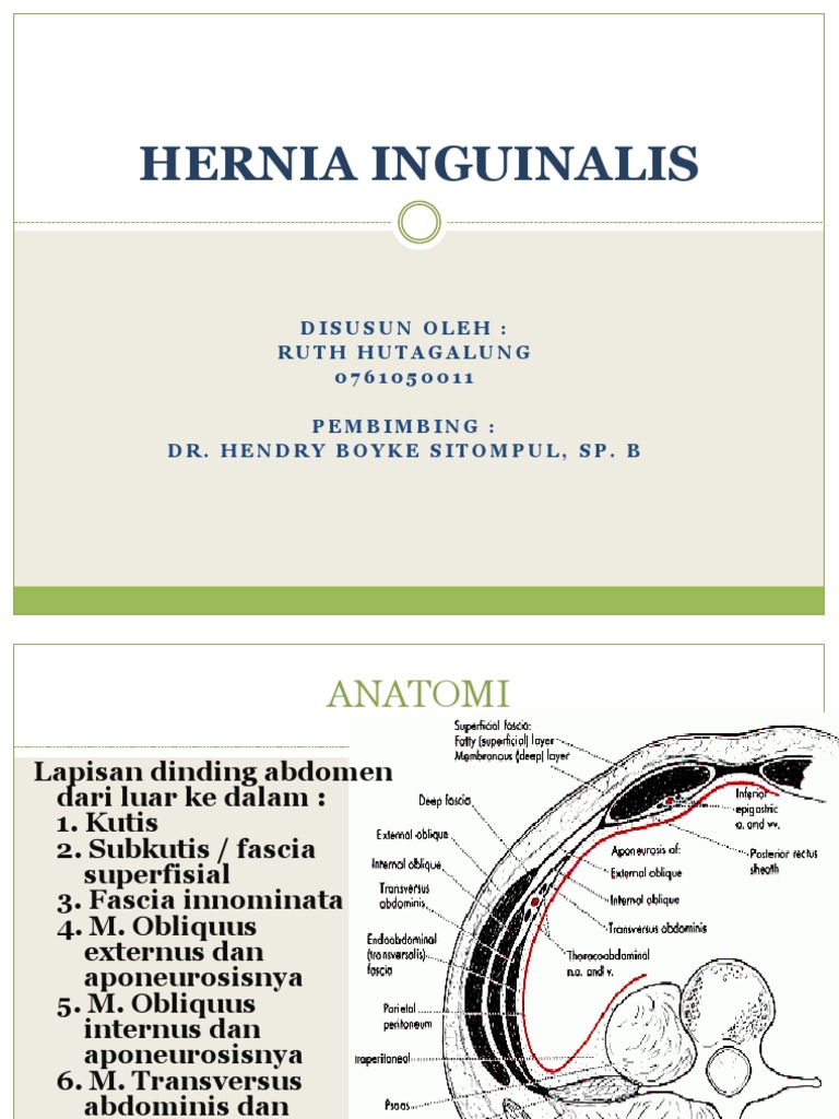 Hernia Inguinalis | PDF