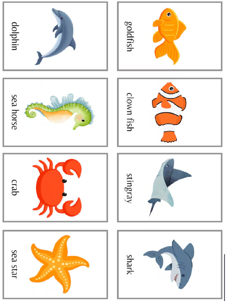 Sea Animals Flashcards | PDF