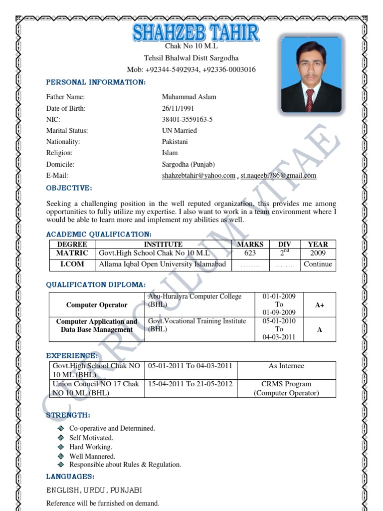 Personal Resume of Shahzeb Tahir | PDF