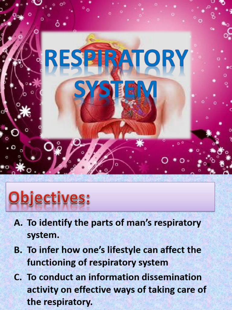Grade 9 Respiratory System Overview | PDF | Respiratory Tract ...