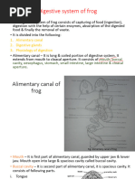 Frog Digestive System: Anatomy & Functions | PDF | Stomach | Pancreas