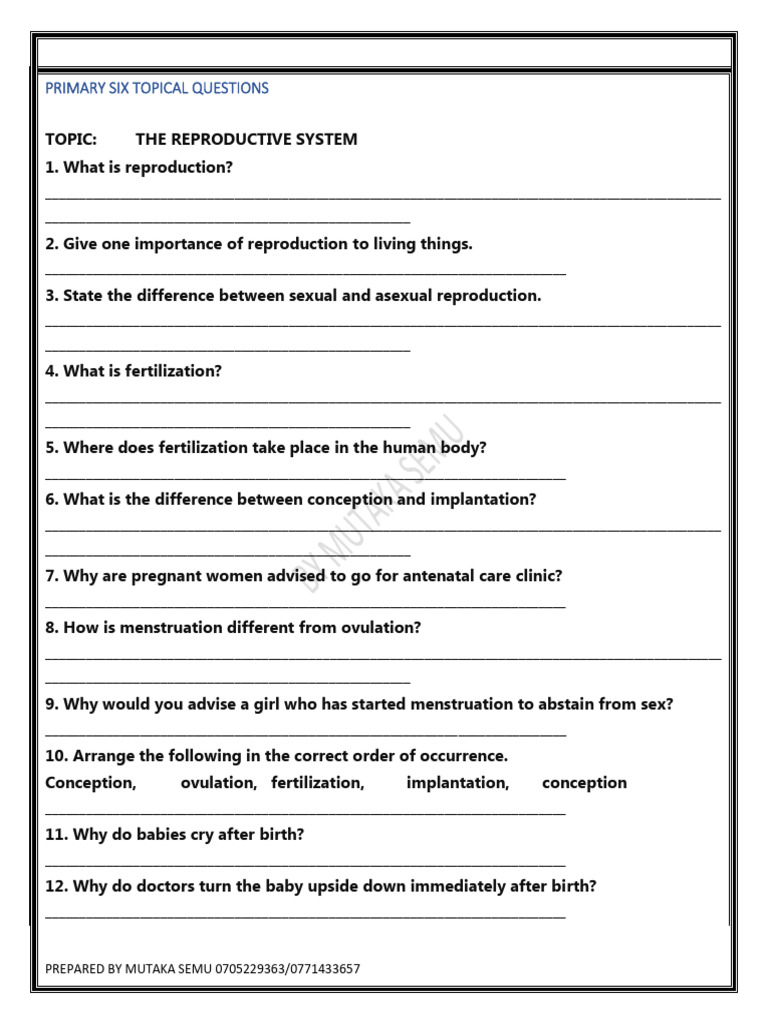 Wunna-p.6 Topical Questions _the Reproductive System-688de0b79f0e91 ...