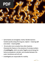 Darkfield Microscopy for Syphilis Diagnosis | PDF | Microscopy ...