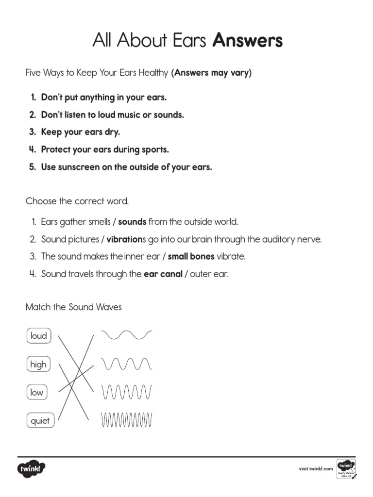 Answers - All About the Ears a Mini Research Book for K-2nd Grade | PDF