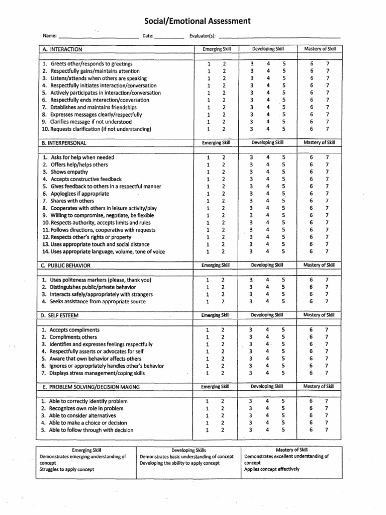 Social-Emotional Assessment | PDF | Human Communication | Psychological ...