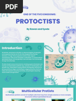 Characteristics of Protoctists Explained | PDF