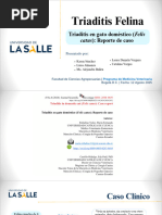 Triaditis Felina: Diagnóstico y Tratamiento | PDF | Inflamación | Páncreas