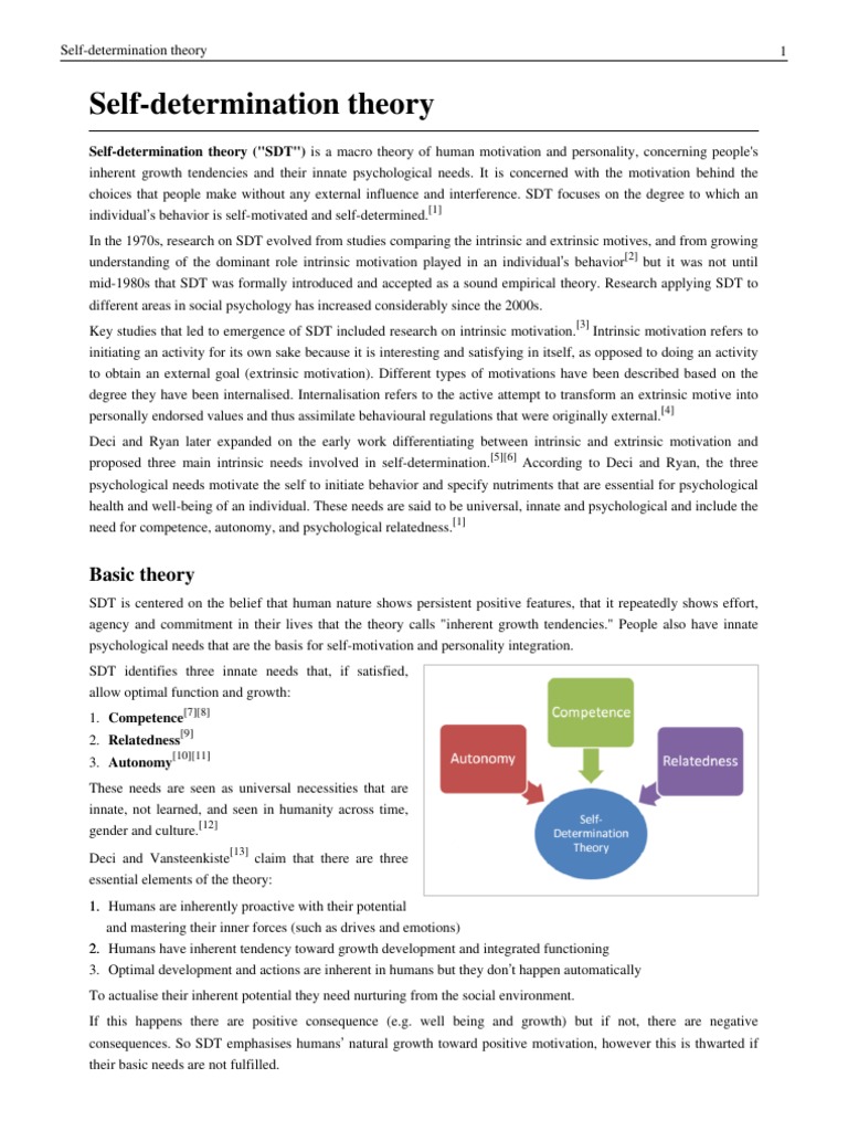Understanding Self-Determination Theory | PDF | Motivation | Motivational