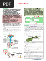Classification de l'angiocholite aiguë | PDF | Vésicule biliaire ...