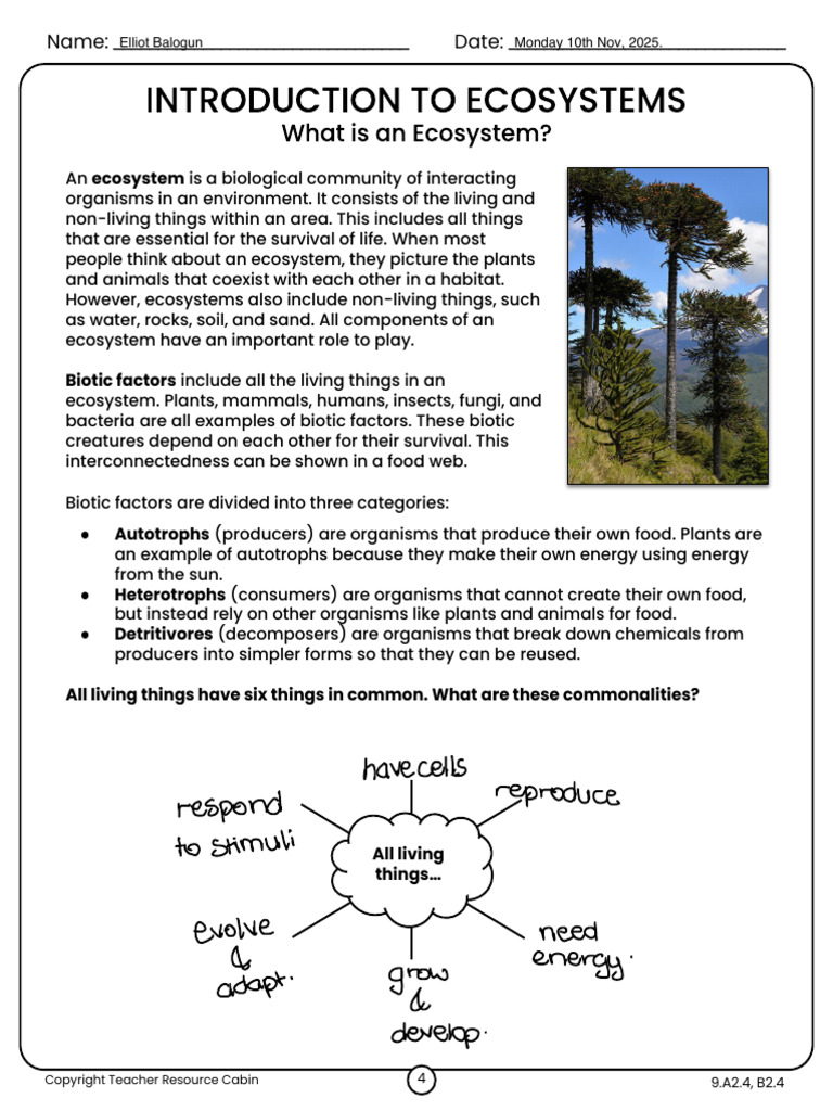 Biotic & Abiotic Factors | PDF | Ecosystem | Foods