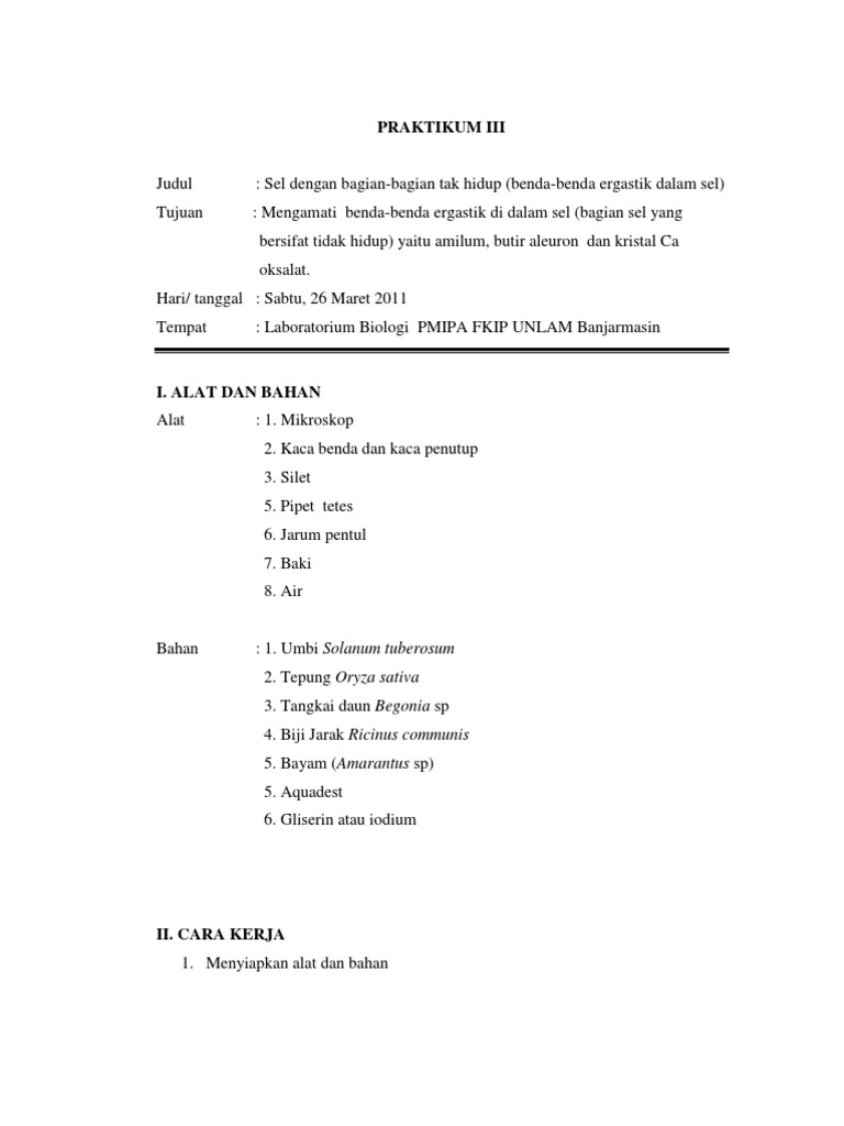Praktikum 3 | PDF
