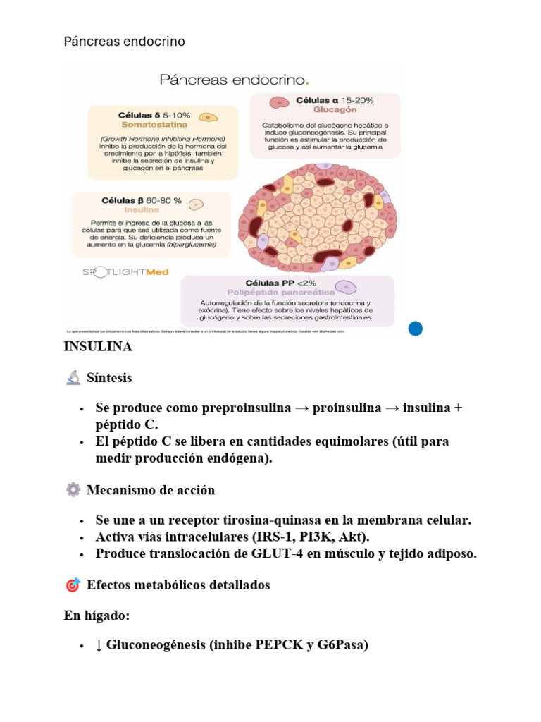 Celulas de La Diabetes Mellitus, Donde Se Originan. | PDF | Insulina ...