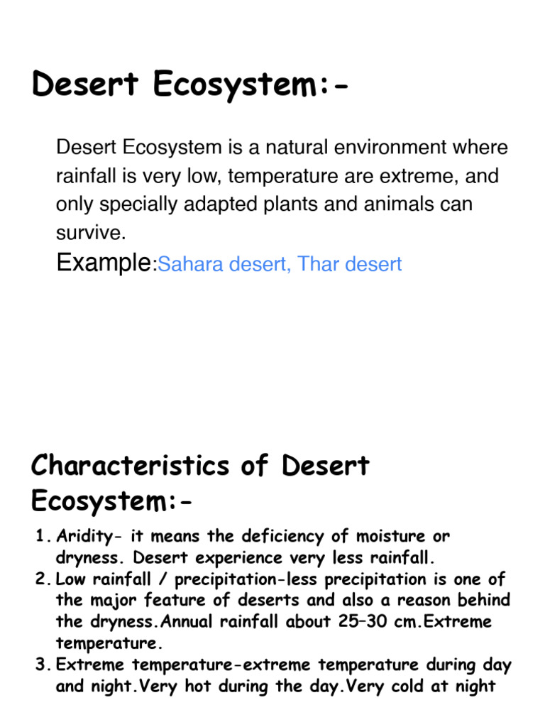 Desert Ecosystem | PDF
