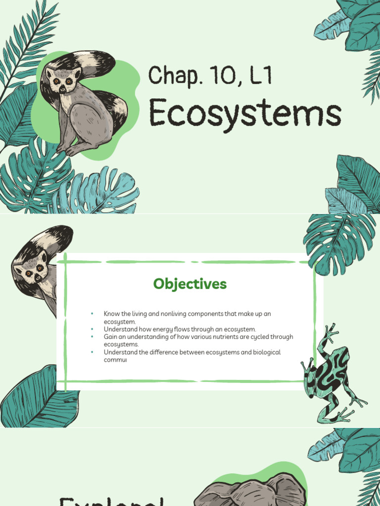 G6 Science Ecosystems | PDF
