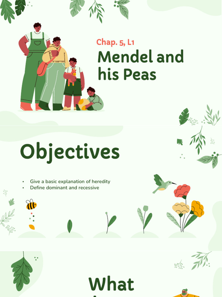 G7-Science-Mendel and his peas | PDF