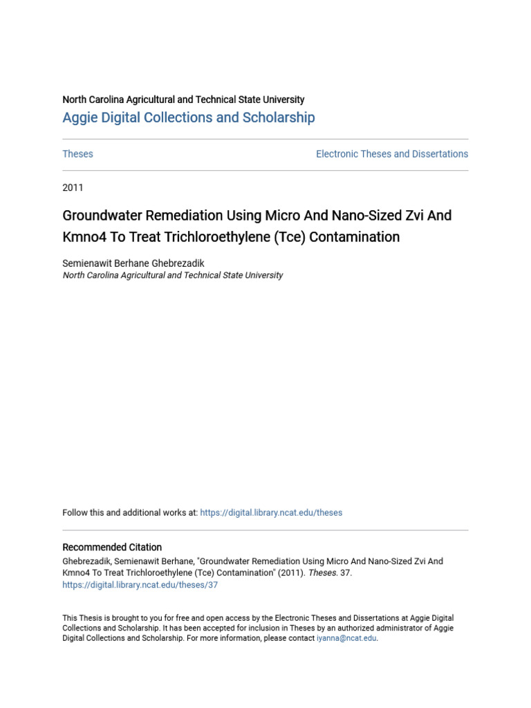 Groundwater Remediation Using Micro And Nano-Sized Zvi And Kmno4 | PDF ...
