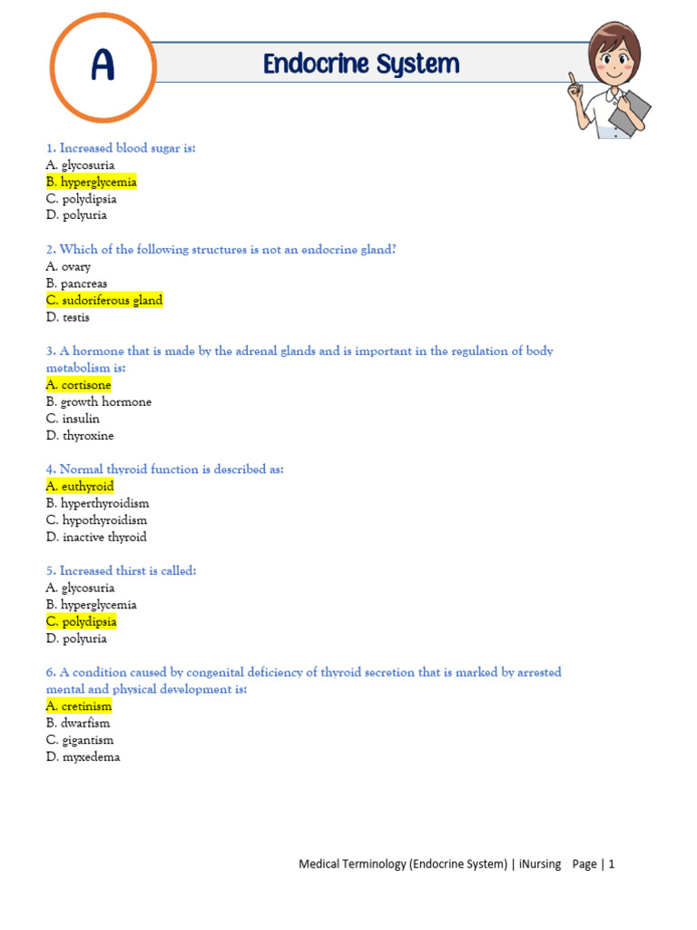 Answers Endocrine System 15 | PDF | Endocrine System | Thyroid