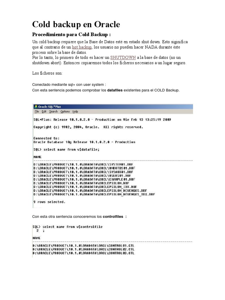 Preparacion para Un Cold Backup ORA | PDF | Apoyo | Archivo de computadora