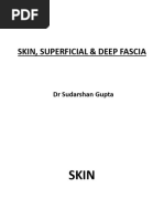 Dermatology Flap CPT Codes Guide | PDF | Teaching Methods & Materials ...