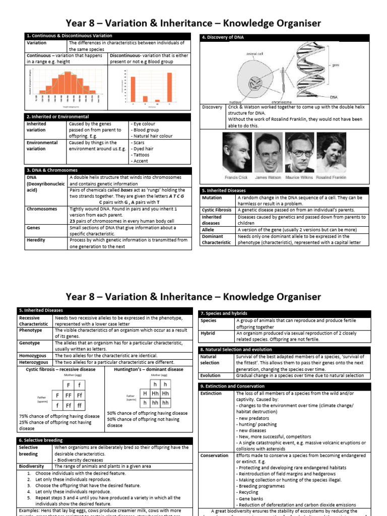 Inheritance KO EDITED | PDF | Dominance (Genetics) | Allele