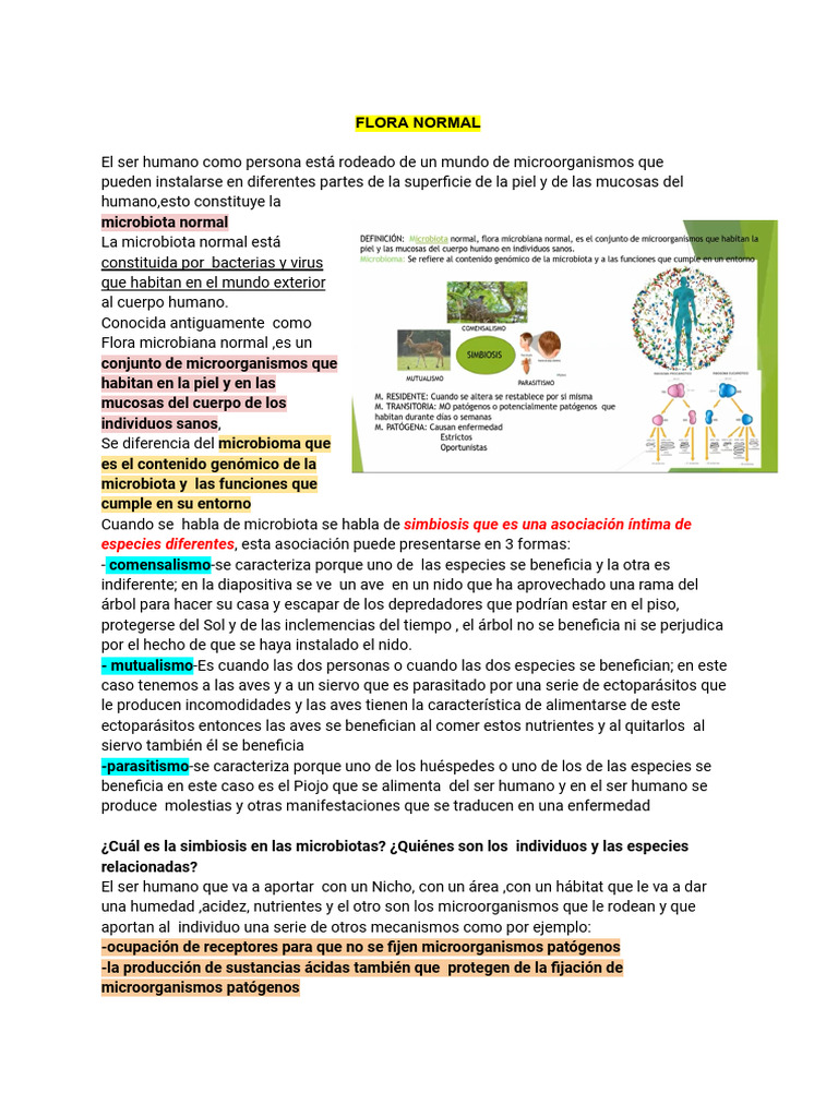 FLORA NORMAL | PDF | Microbiota | Metabolismo