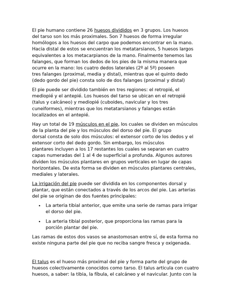El Pie Humano Contiene 26 Huesos Divididos en 3 Grupos | PDF | Pie | Mano