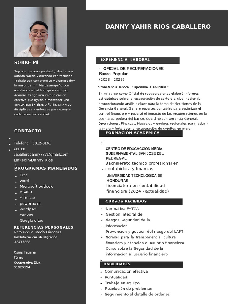 Currículum de Danny Rios | PDF | Contabilidad | Economias