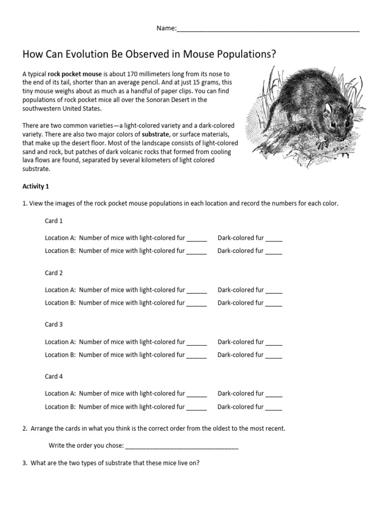 Rock Pocket Mouse Activity | PDF | Natural Selection | Mouse