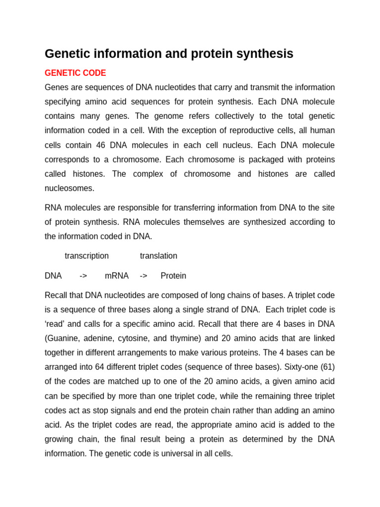Genetic Information and Protein Synthesis | PDF | Rna | Nucleic Acid ...