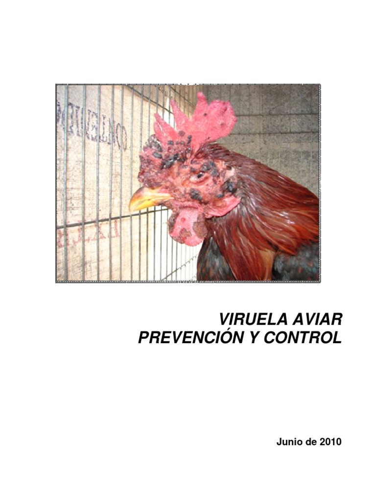 Viruela Aviar-Prevención y Control-mabl-FMG | Virus | Biología