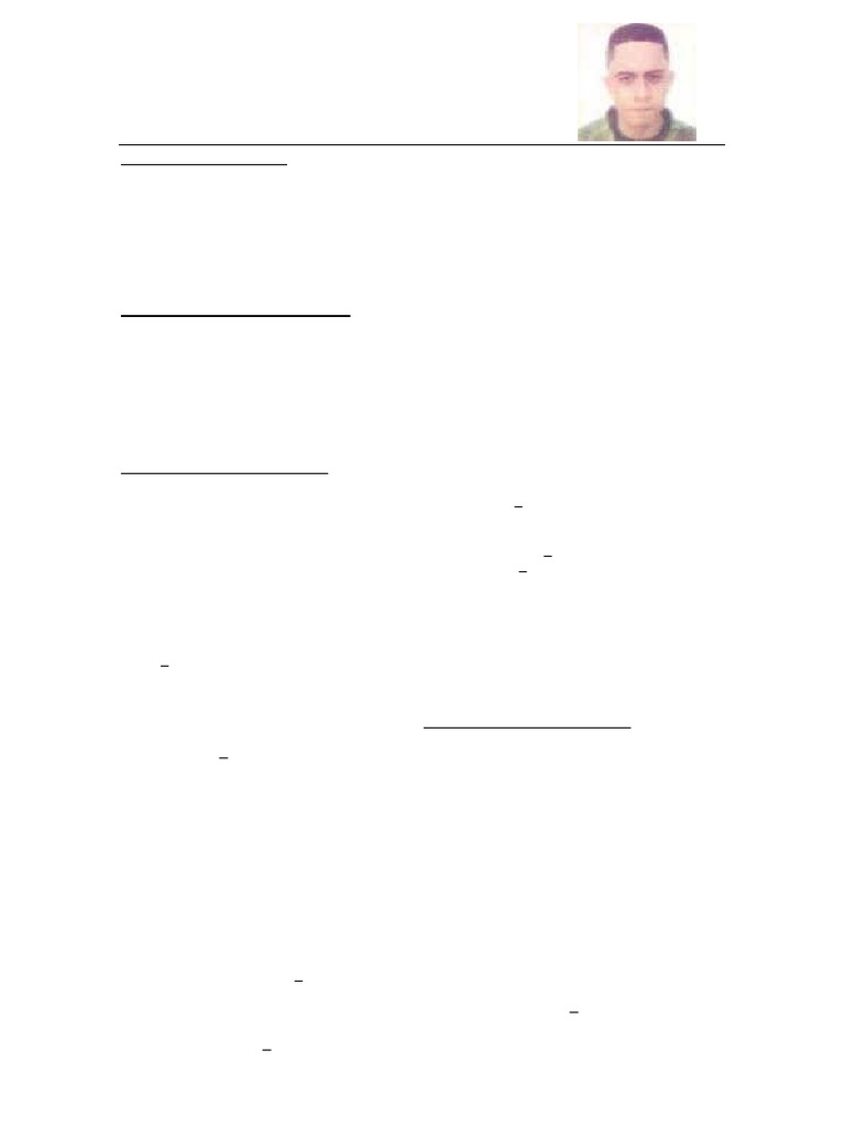 modelo de cv documentado | PDF | Informática
