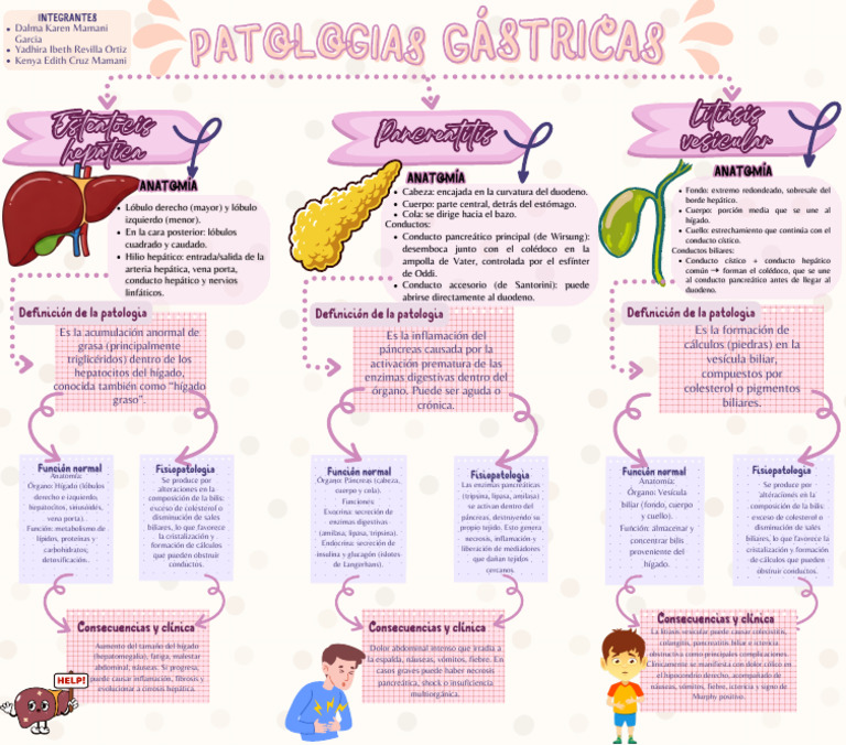 Anatomia Clinica - Esteatosis Hepatica, Pancreatitis y Litiasis ...
