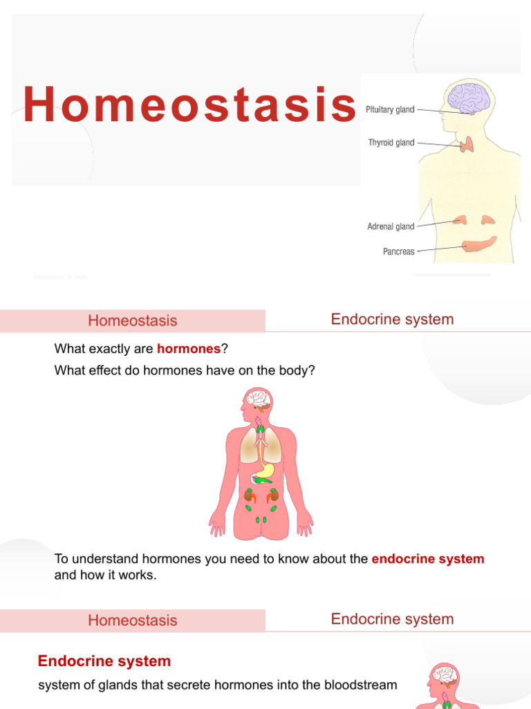 Chapter 7 Homeostasis_副本 | PDF | Endocrine System | Hormone