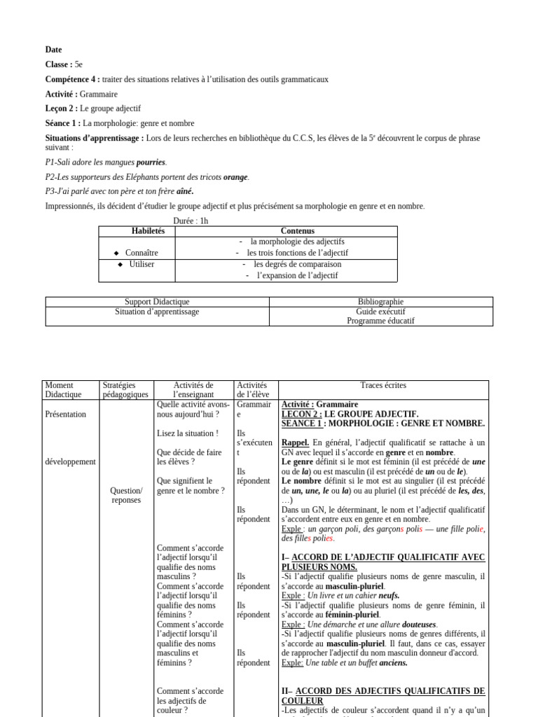 Fiche de Cours 1 Canevas | PDF | Genre grammatical | Adjectif