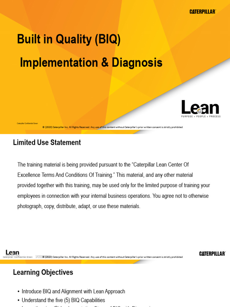 Module 3.2 - BIQ Implementation Diagnosing (08E100166) - Supplier | PDF ...