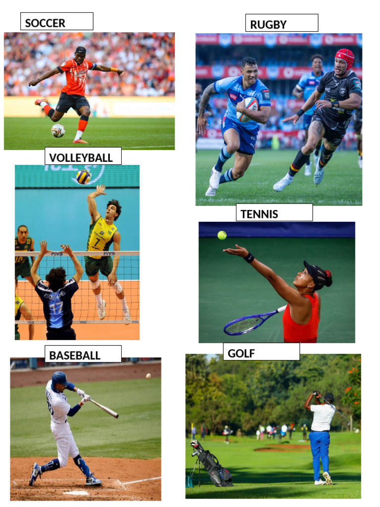 Sporting Activities | PDF