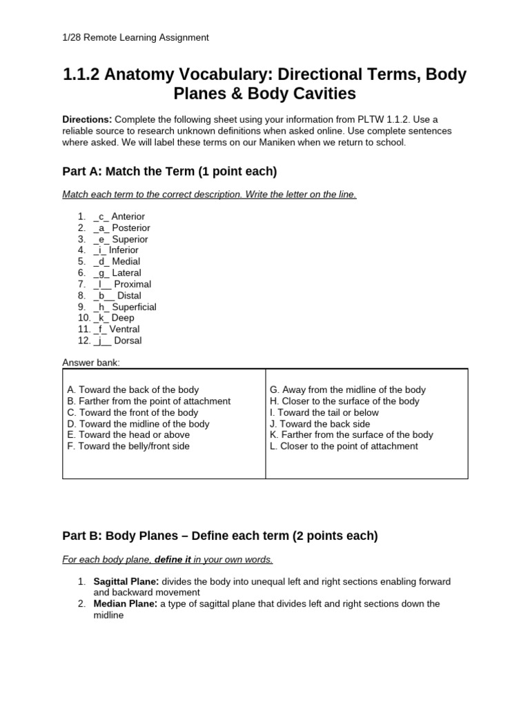 _Anatomy Vocabulary_ Directional Terms, Body Planes & Body Cavities ...